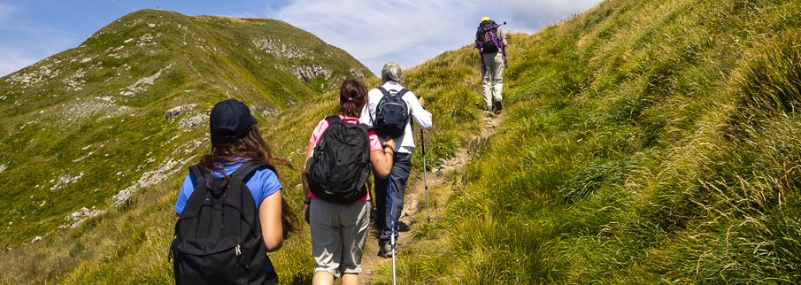 Rover Scouts opens the door to a world of adventure, excitement ...